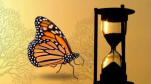 10 Symbols of Patience and Their Meanings - The Art of Waiting ...