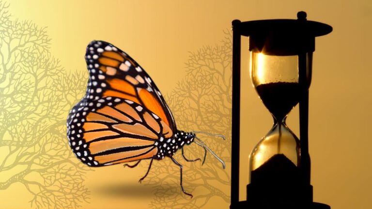 10 Symbols of Patience and Their Meanings - The Art of Waiting ...