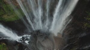 10 Symbols of Patience and Their Meanings - The Art of Waiting ...