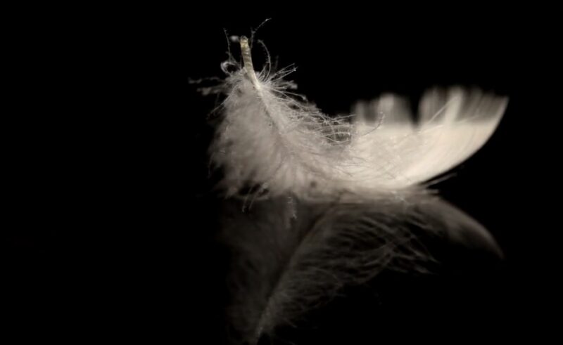 24 Symbols of Strength and Their Meanings - How to Recognize and ...