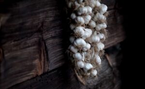 19 Symbols of Protection and Their Meanings - Interpretation in ...