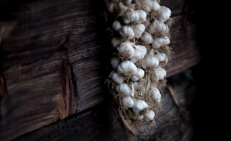 19 Symbols of Protection and Their Meanings - Interpretation in ...