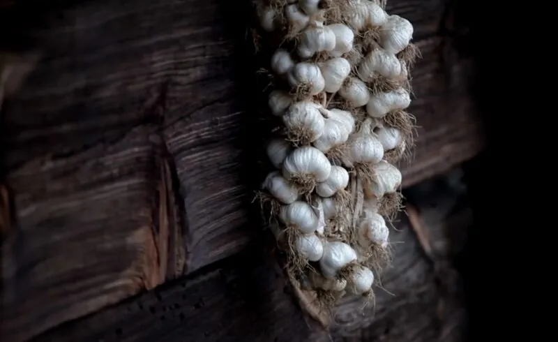 19 Symbols of Protection and Their Meanings - Interpretation in ...