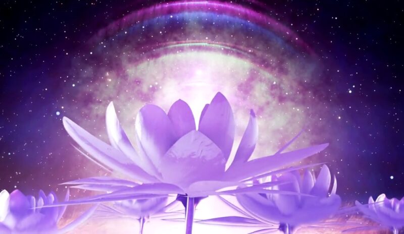 24 Symbols of Strength and Their Meanings - How to Recognize and ...