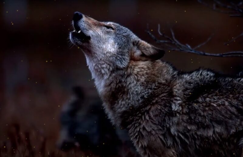 24 Symbols of Strength and Their Meanings - How to Recognize and ...