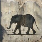 9 Popular Symbols of Luck from Different Cultures