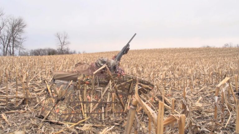 Goose Hunting 101 - 12 Tips and Tactics for Beginners - Armorial Register