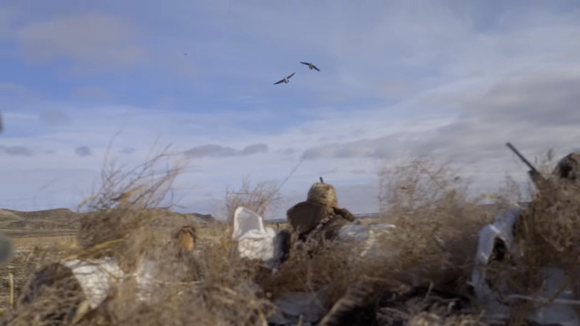 Goose Hunting 101 - 12 Tips and Tactics for Beginners - Armorial Register